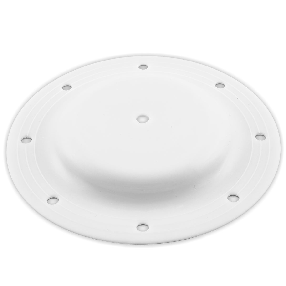 AndFlo Replacement Hytrel Back-Up Diaphragm, fits E1 / 1" Pumps, Will ...