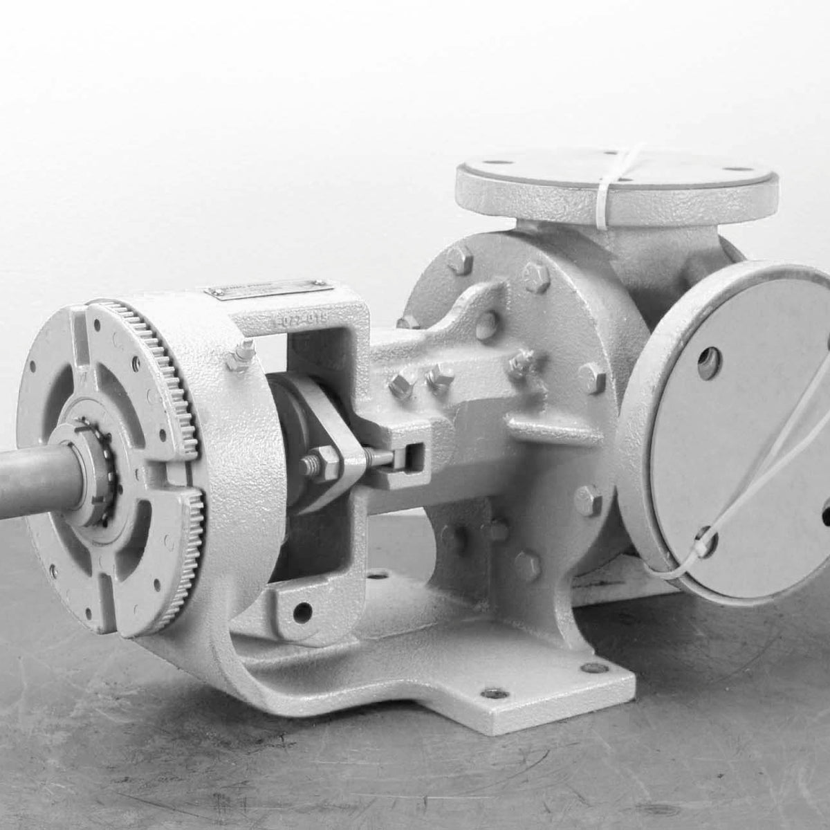 AndFlo K127A Internal Gear Pump, 2" Ports, Drop-in Replacement (New ...